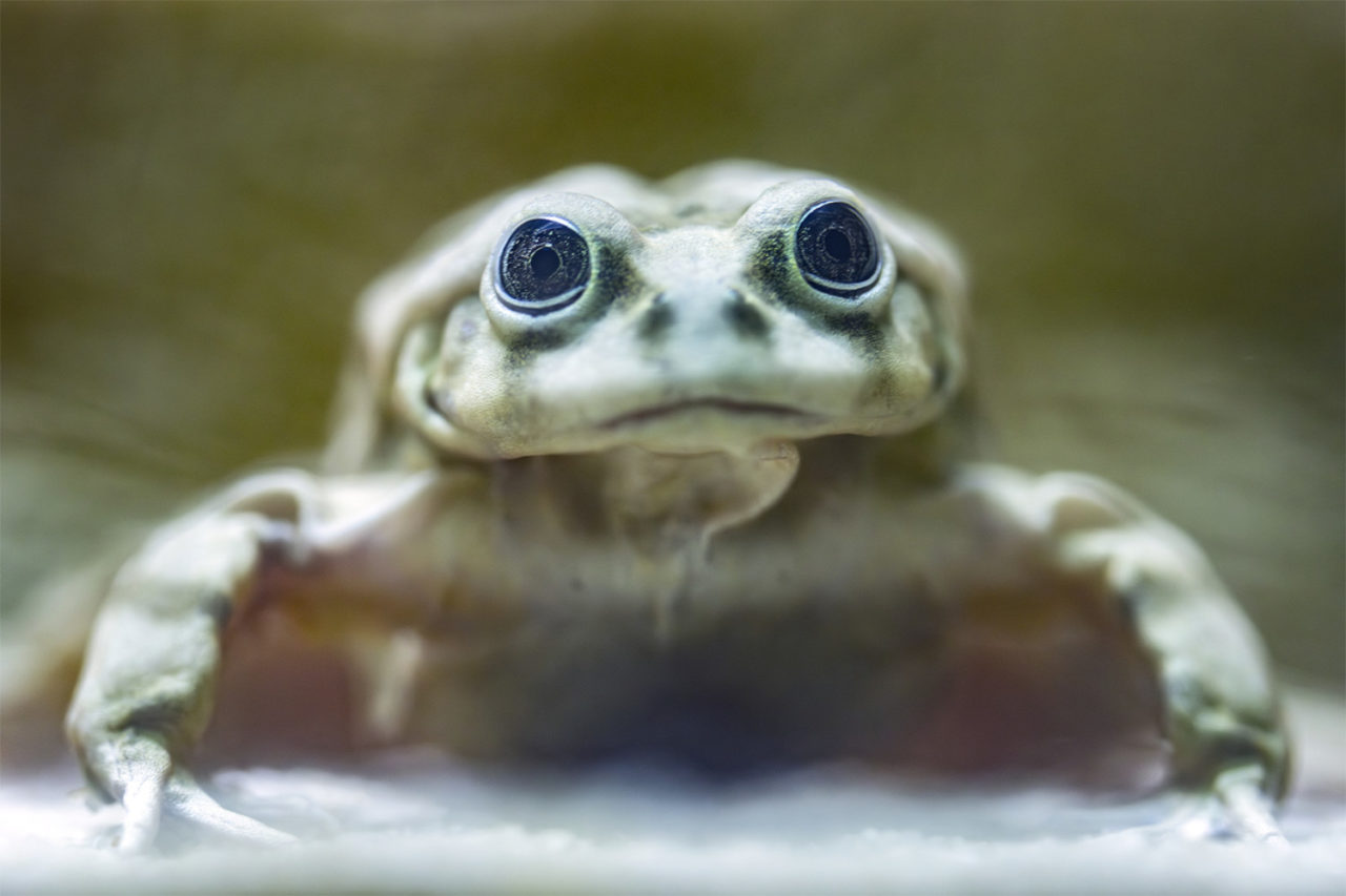 Lesergalerie - NaturFoto