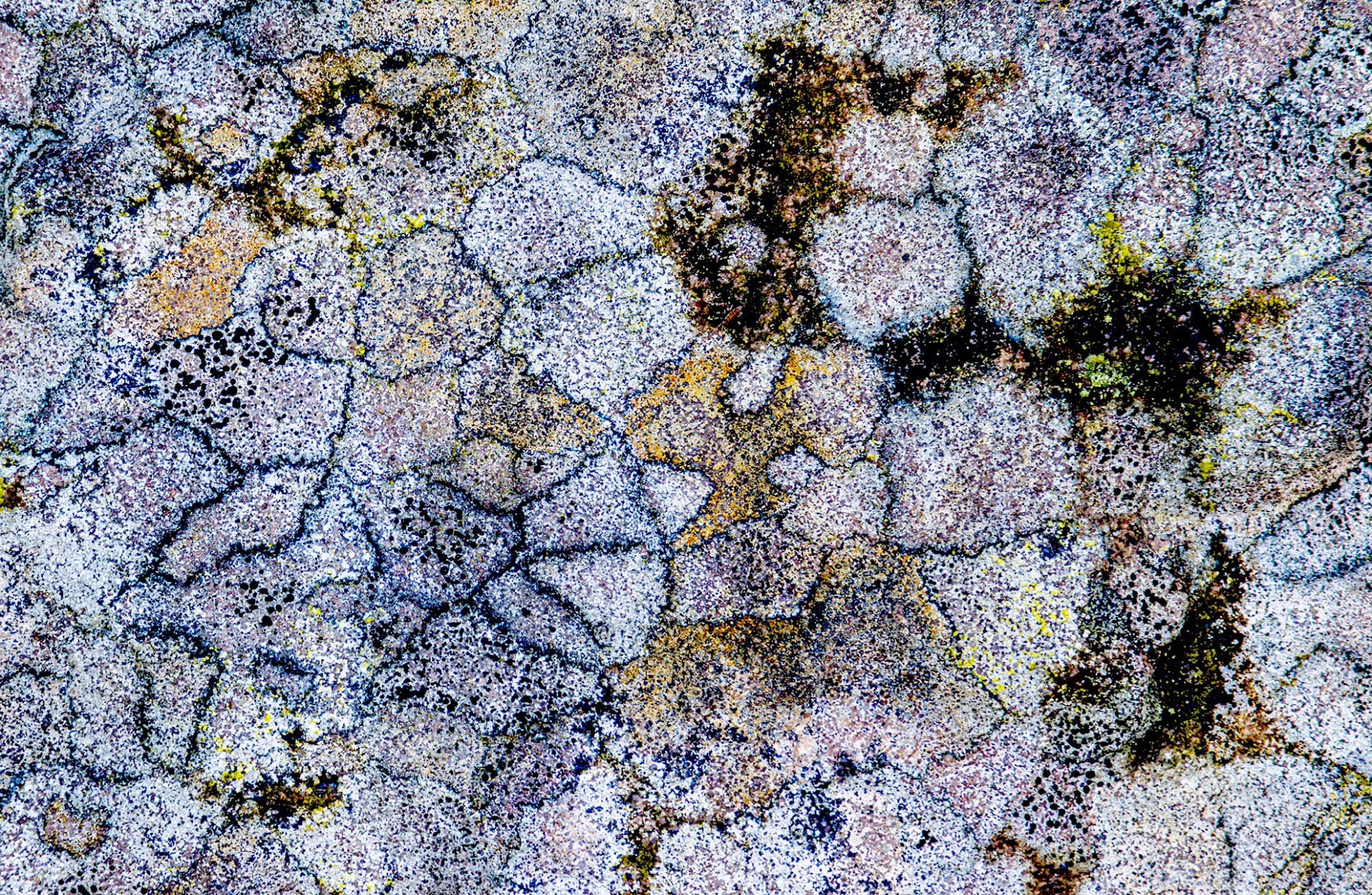 Lesergalerie - NaturFoto